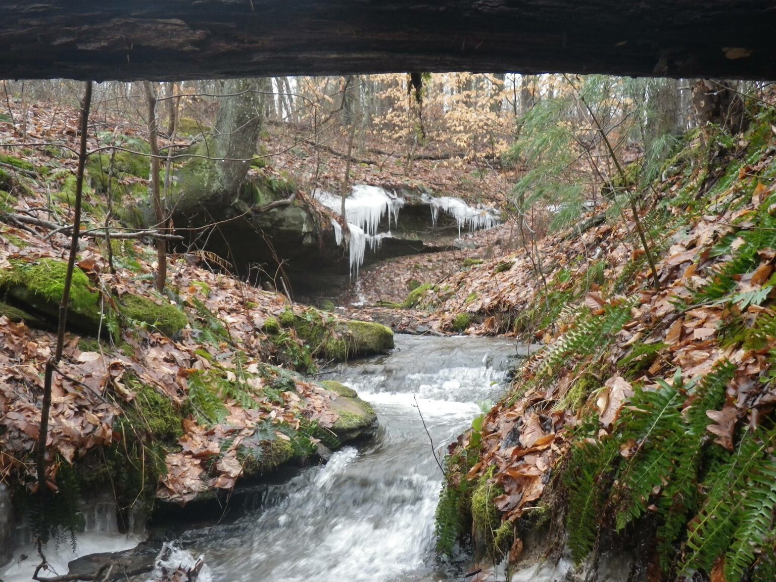 Geneva Hills | Visit Fairfield County