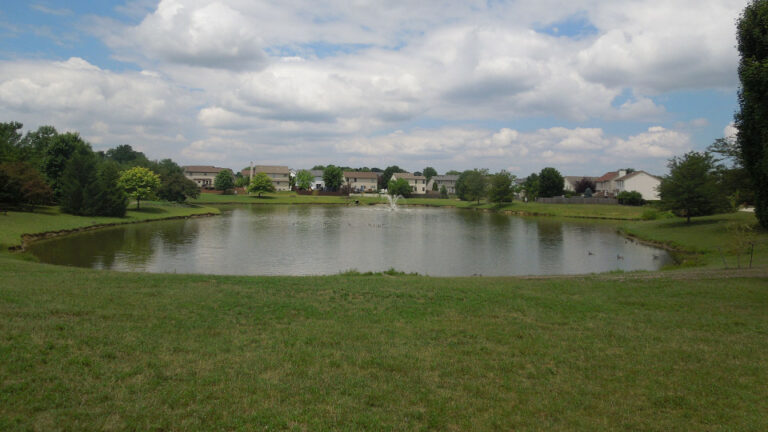 Willow Pond Park | Visit Fairfield County